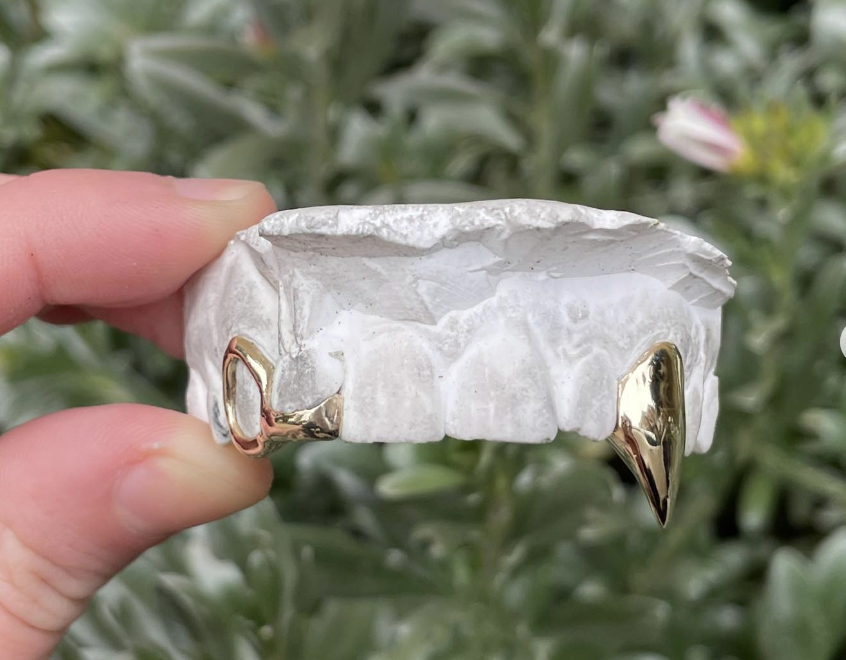 teeth jewellery by CLOVA RAE-SMITH – The Colour Blog